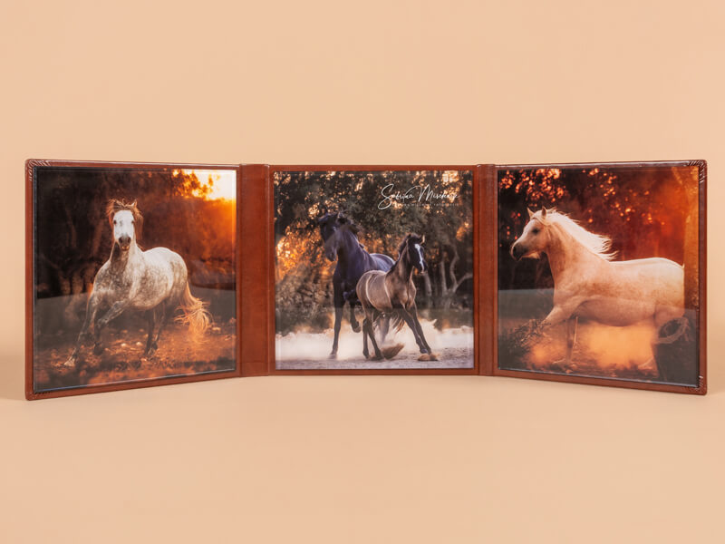 Triplex | Professional Printing Services | nPhoto Lab