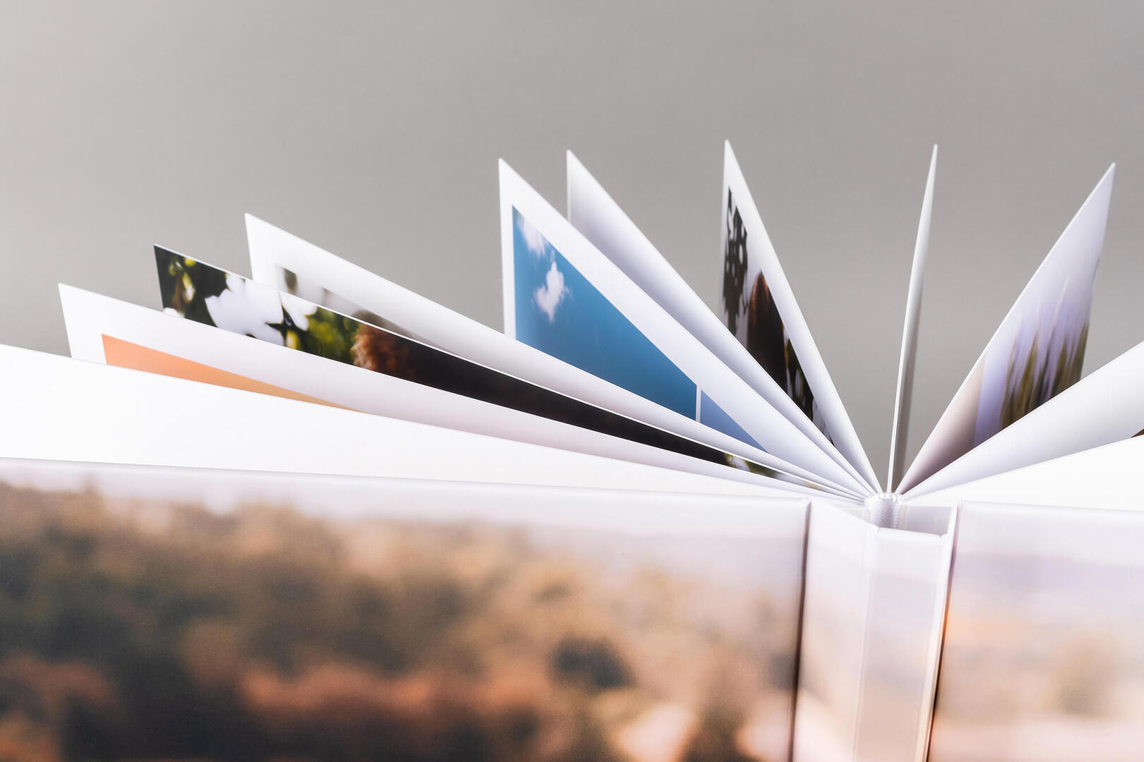 What's new in the Photo Album? | Professional Printing Services ...